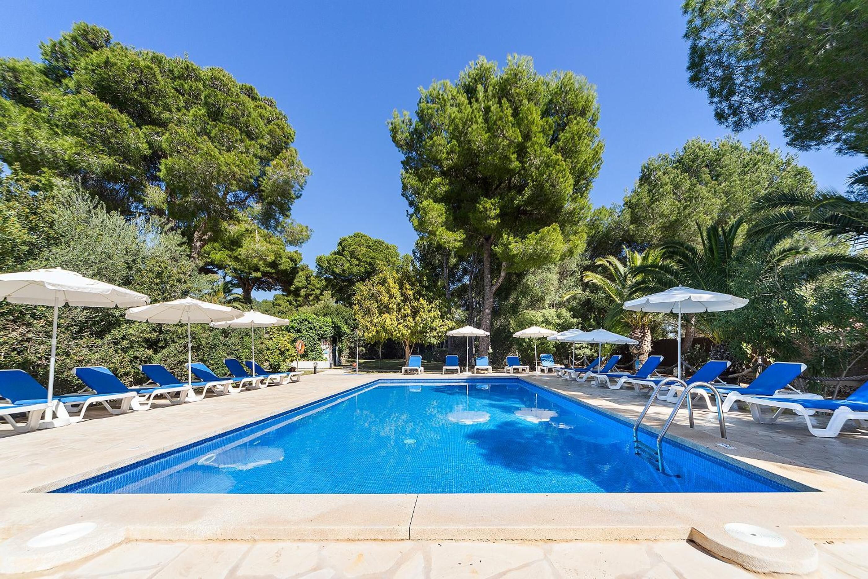 Piscina exterior, guarda-sóis, espreguiçadeiras 