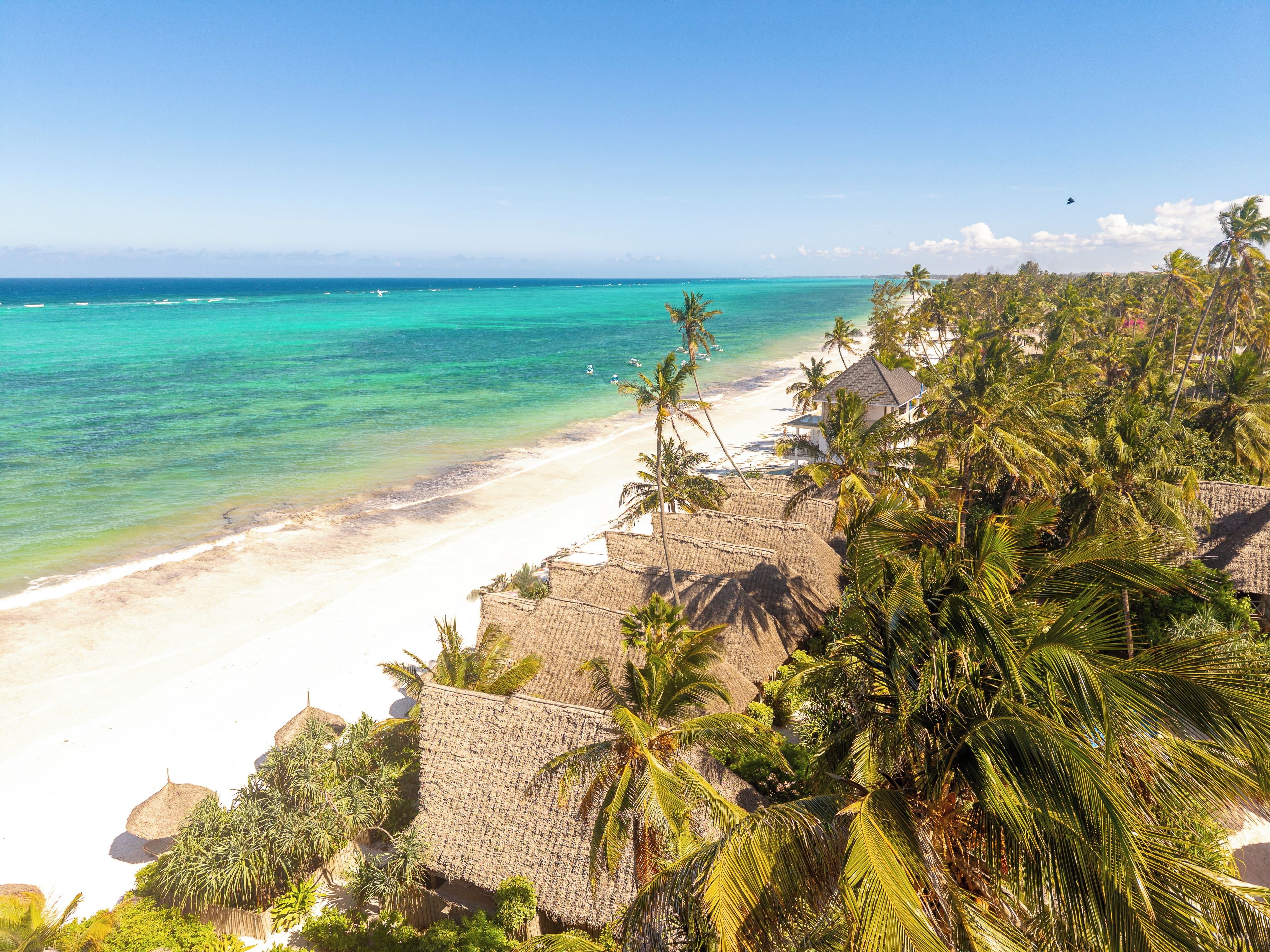 Uma praia com águas turquesa cristalinas, areia branca e palmeiras.