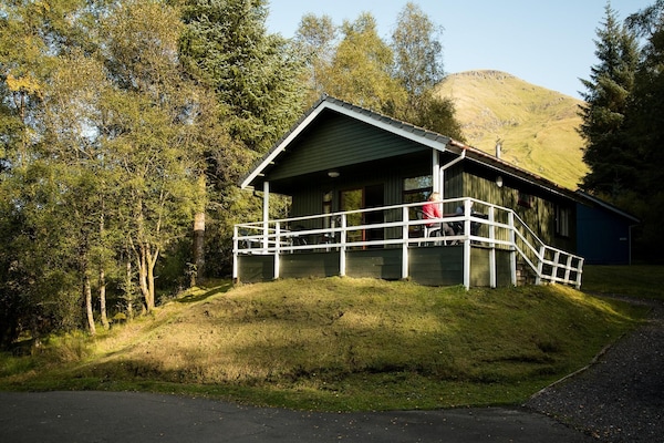 The Osprey - Loch Lomond