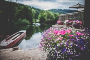 Terrenos do alojamento