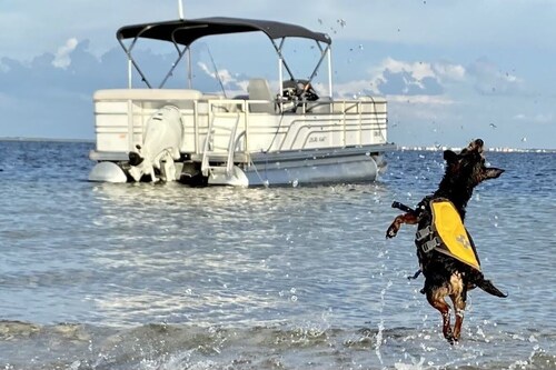 Lake James Sandbar Party