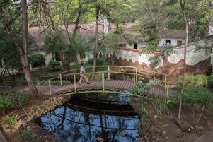 Jardim
