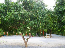 Vista da propriedade