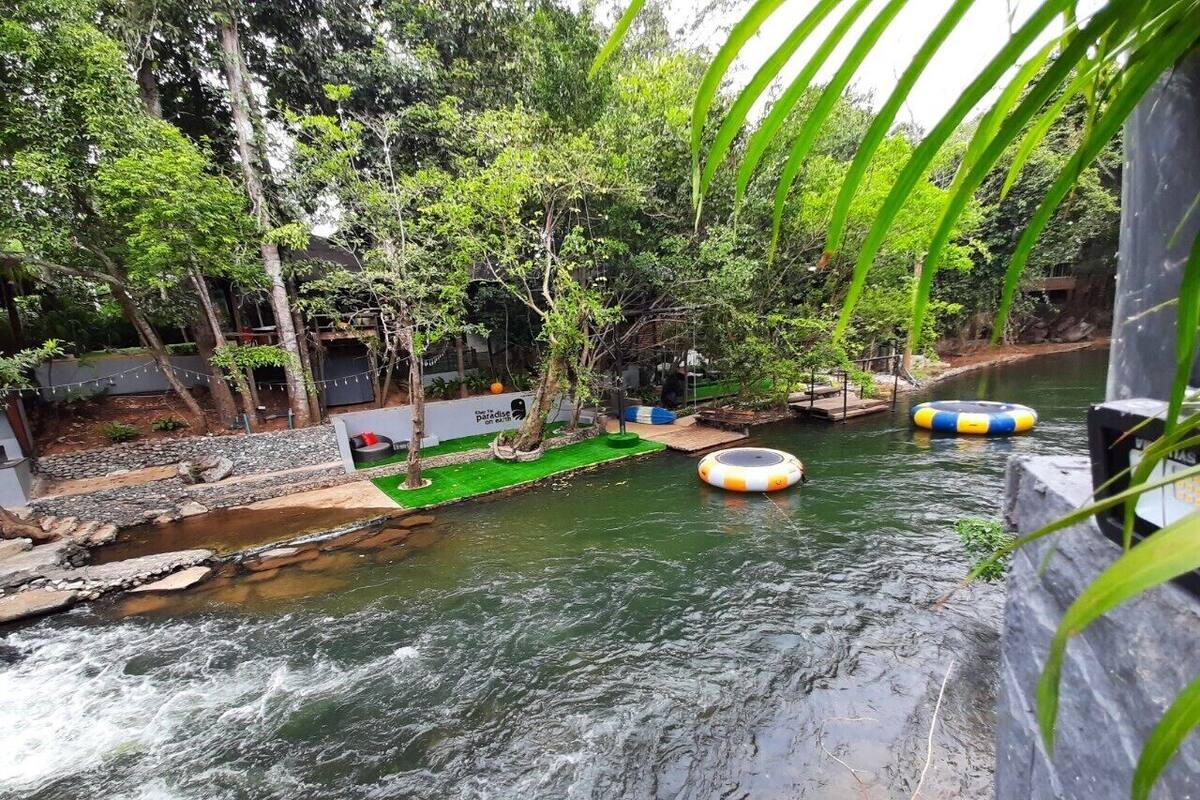 Um rio com leito pedregoso, rodeado por vegetação e árvores.