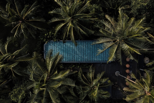 Capella Ubud, Bali - Bali