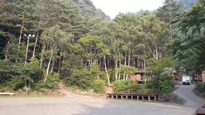 Uma estrada rural que leva a uma casa rodeada por uma floresta densa.