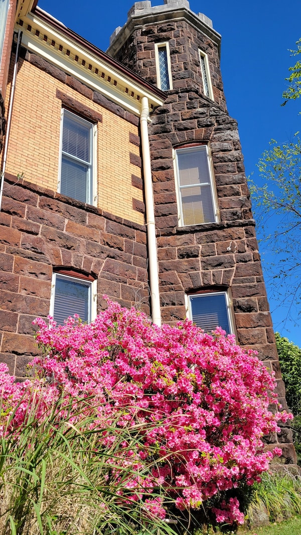 1890 Williams House Inn - Hot Springs, AR