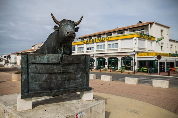 L'abrivado - Arles