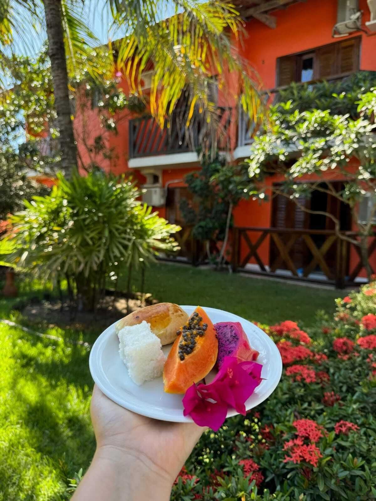 Uma mão segura um prato com arroz branco, uma mamão e uma flor rosa, com um jardim e um edifício ao fundo.