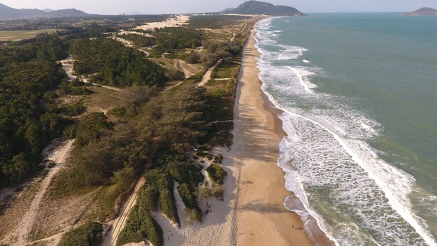 Vista aérea de uma área costeira com uma praia de areia, vegetação densa e uma visão clara do oceano.
