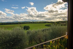 Apartamento, 2 banheiros | Vista da sacada