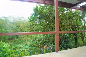 Quarto premier, 1 quarto, vista para o jardim | Vista do quarto