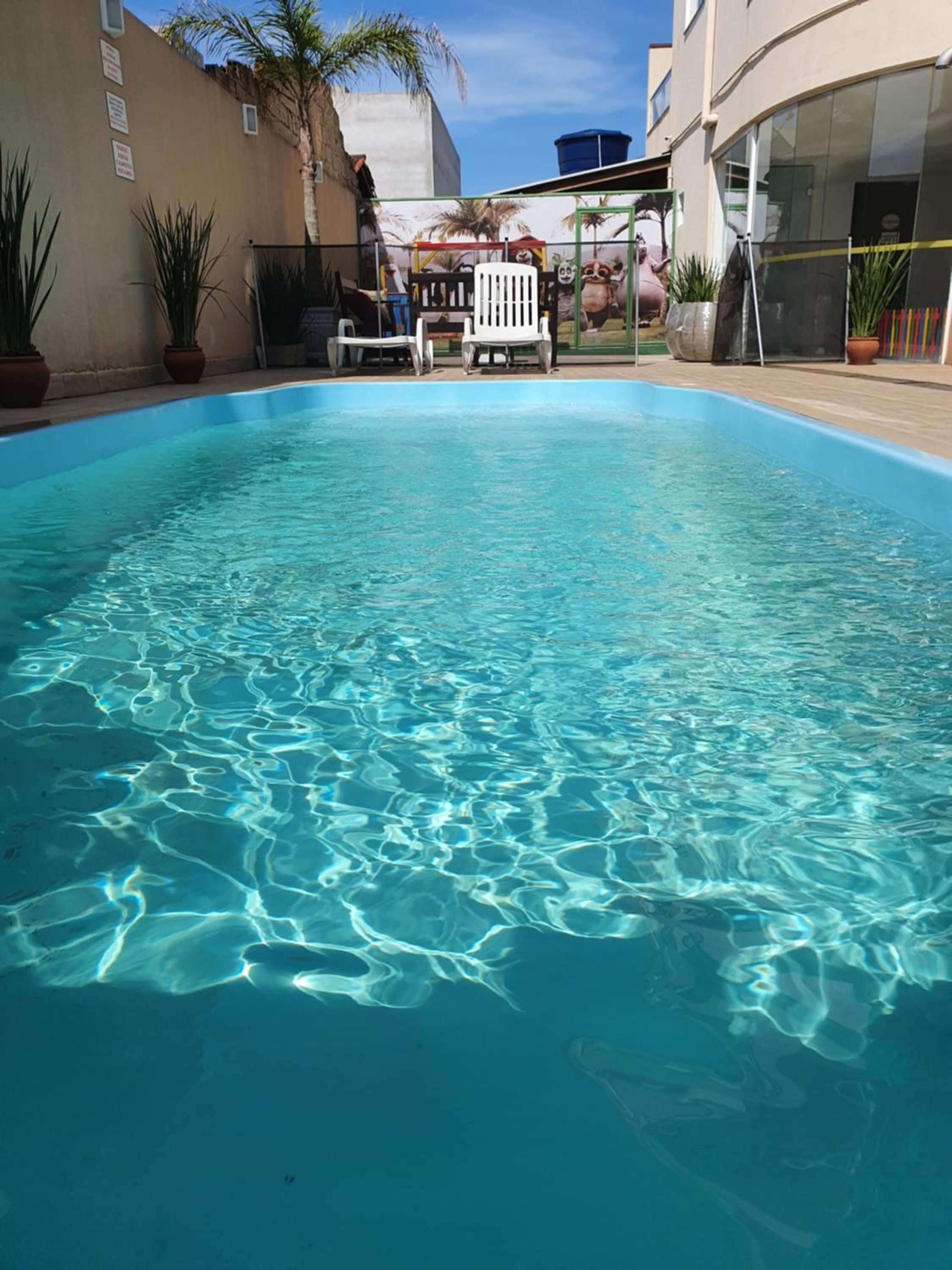 Piscina com água cristalina, cercada por plantas em vasos e um muro branco.