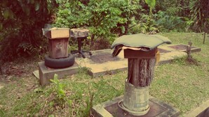 Um jardim com uma estrutura de madeira, possivelmente um banco ou floreira, rodeado por vegetação.