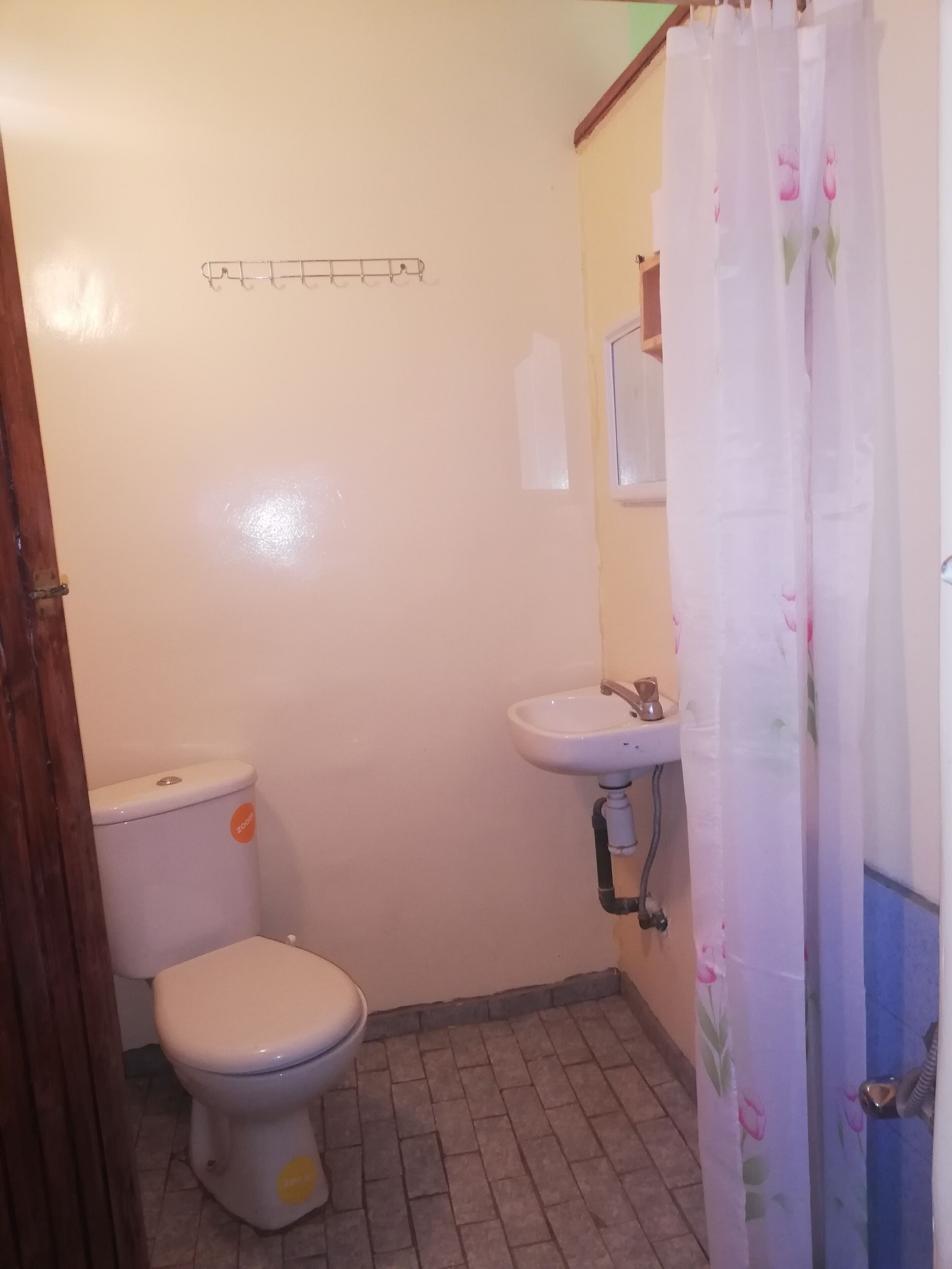 Uma casa de banho pequena com sanita, lavatório e cortina de chuveiro.