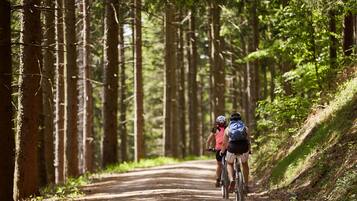Um caminho arborizado com ciclistas.