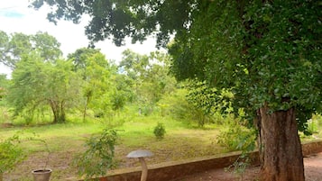 Terrenos do alojamento
