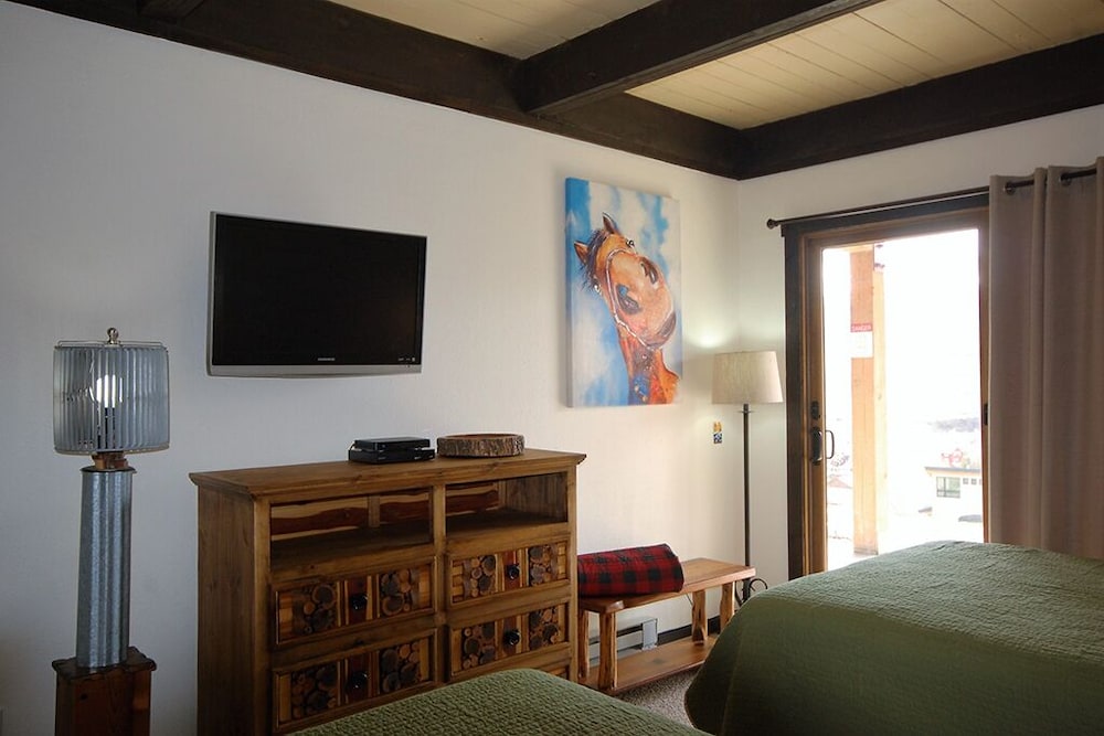 All The Comforts Of Home! Mountain Condo Great For Families & Doggos - Crested Butte, CO