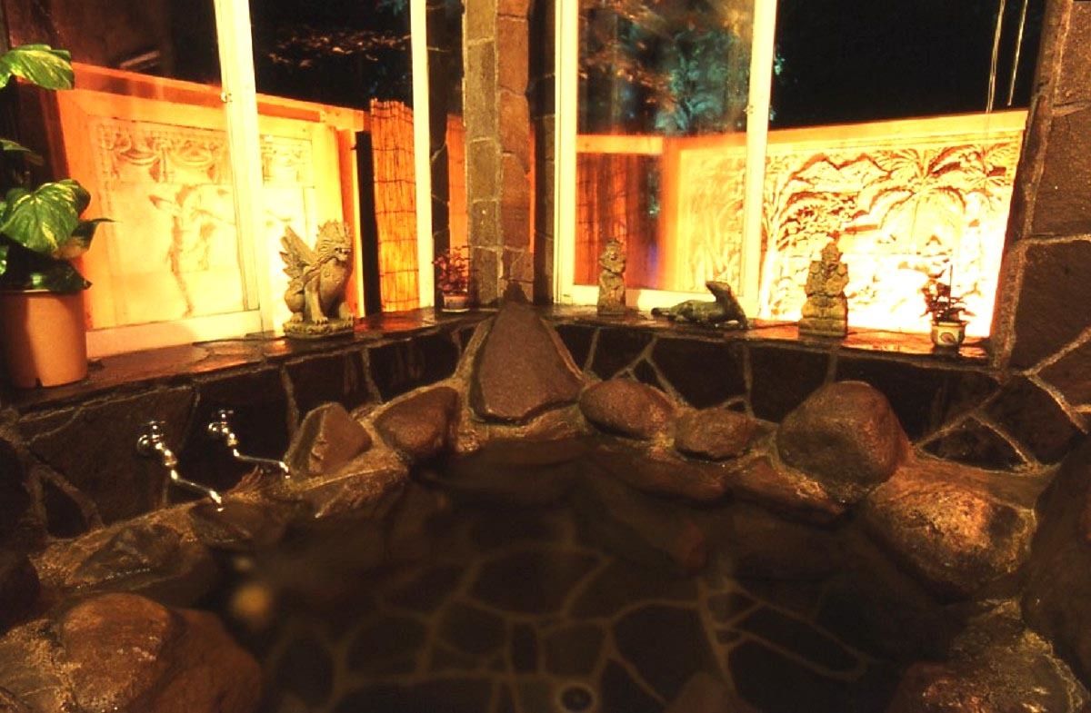 Piscina interior/exterior