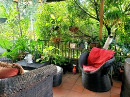 Terraço/pátio interior