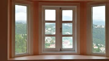 Apartamento Executivo, 1 quarto, cozinha, Vista para a cidade | Cozinha privada | Um frigorífico/congelador grande, um micro-ondas, um forno