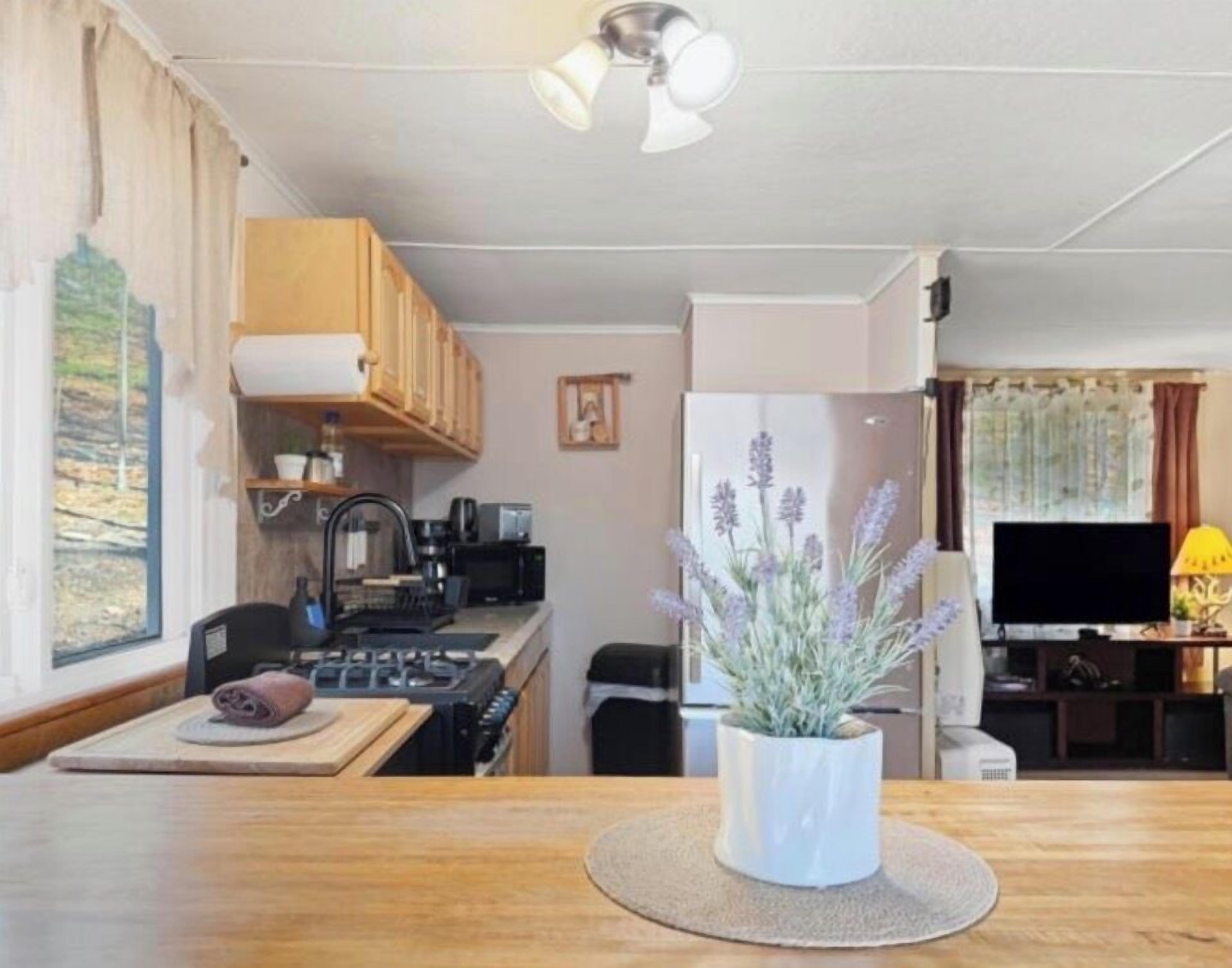 Cozinha compacta com fogão, micro-ondas e armários. Um vaso com planta de lavanda está no balcão.