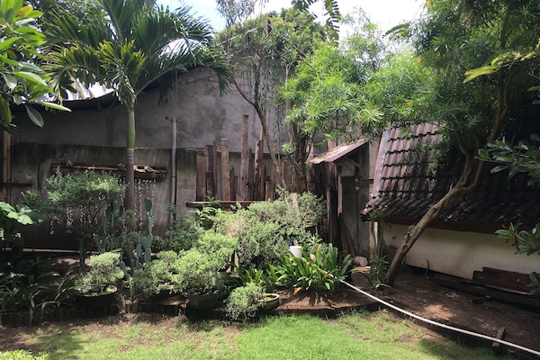 Jardim