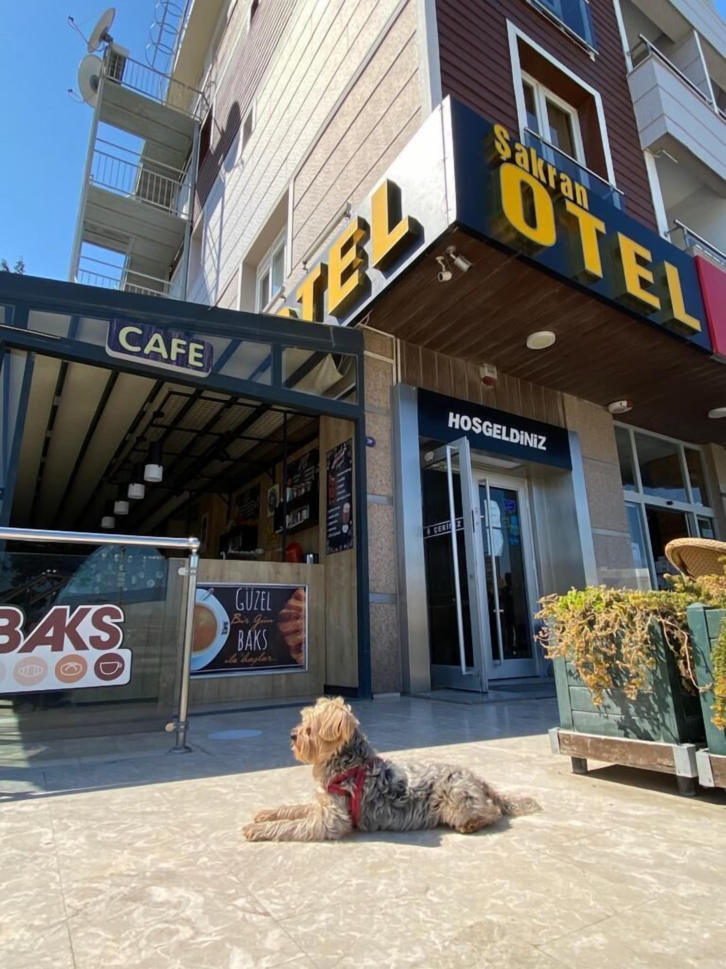 Um edifício com um café e uma padaria, um cão deitado no pavimento, e uma placa de hotel.