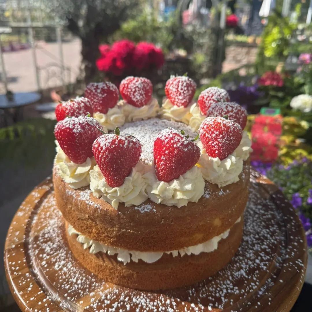 Bolo com morangos e chantilly em um prato.