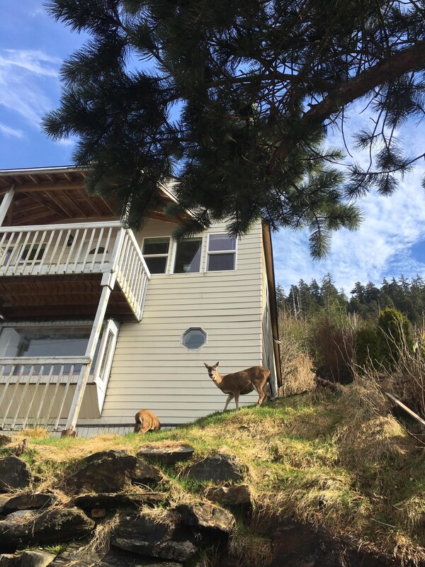 Midtown Studio Apartment With A View - Ketchikan, AK