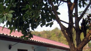 Um edifício térreo com telhado de telhas vermelhas, entrada por um caminho de brita e uma árvore na frente.