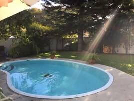 Piscina com borda curva, rodeada por um deck de concreto.