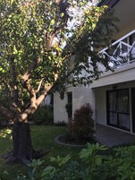 Um edifício com uma grande árvore no jardim da frente, fachada branca e varanda com grades.