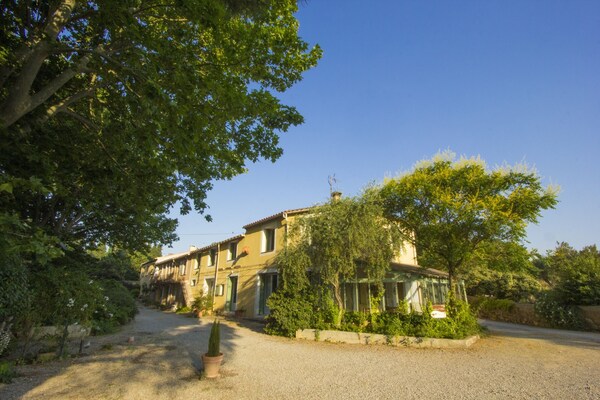 Domaine Sainte Marie Des Ollieux - Aude