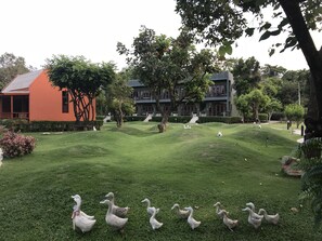 Terrenos do alojamento