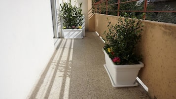 Terraço/pátio interior