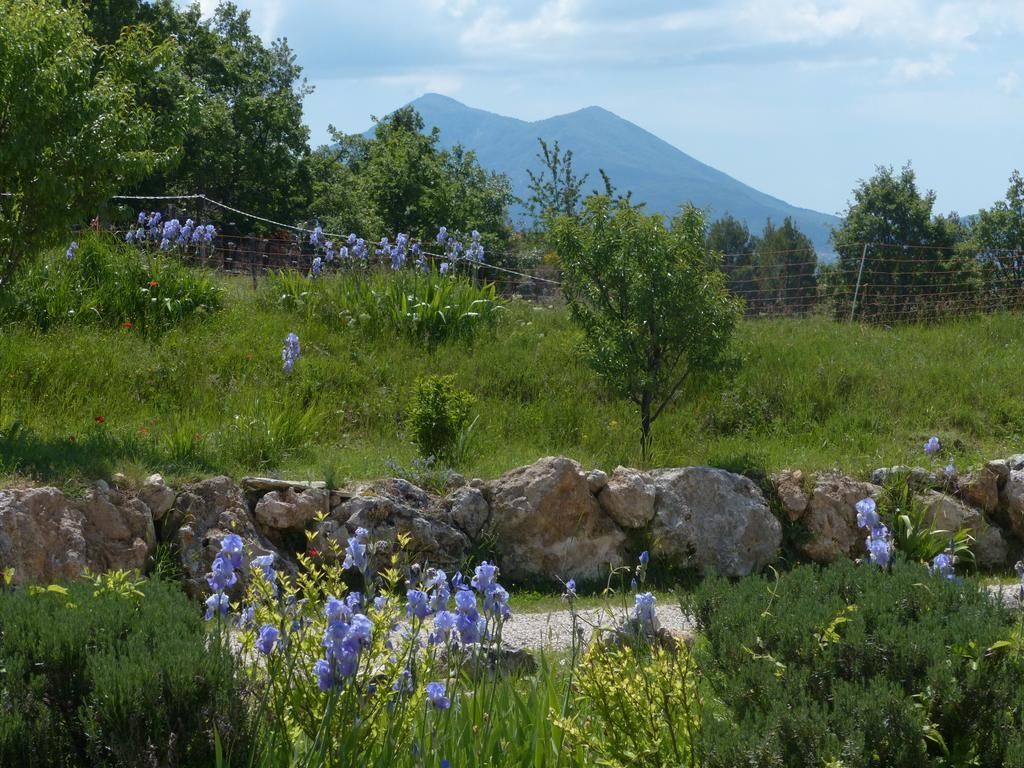 Paisagem natural com um muro de pedra, flores silvestres e uma montanha ao fundo.