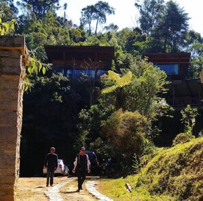 Entrada (vista interior)