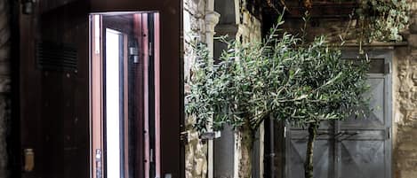 Fachada do alojamento (tarde/noite)