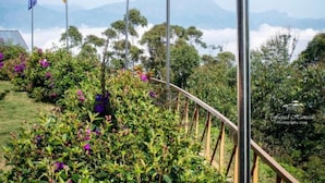 Uma vista deslumbrante de um jardim com bandeiras coloridas, uma cerca de madeira e vegetação exuberante.