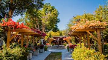 Jardim
