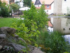 Área da propriedade