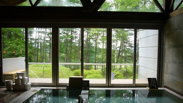 Piscina interna com grandes janelas que dão vista para uma floresta.