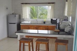 Apartamento, 2 quartos | Cozinha americana privada | Geladeira grande, micro-ondas, cooktop, chaleira elétrica