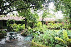 Jardim
