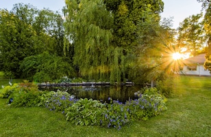 Terrenos do alojamento