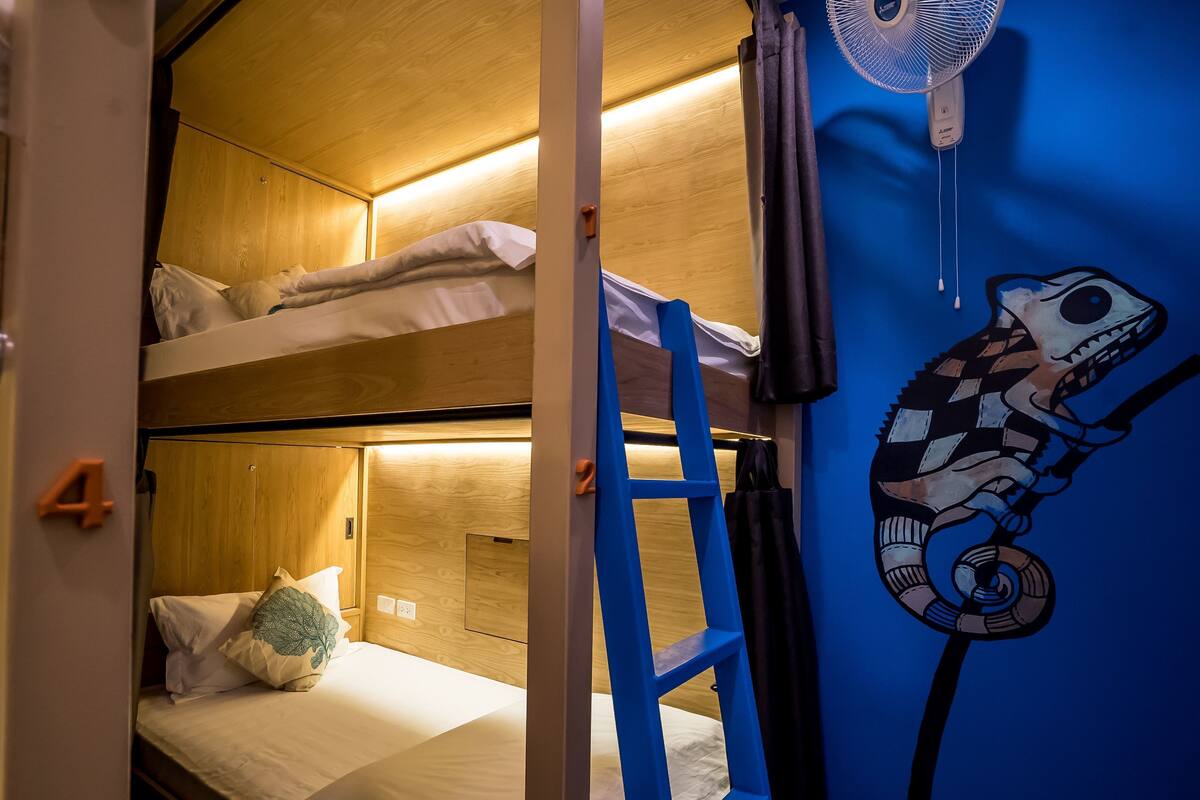 Quarto com beliche, espelho e um mural de lagarto na parede.