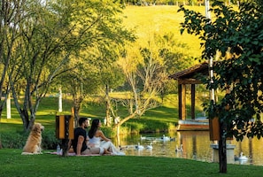 Um parque com um lago, um coreto e um cão.