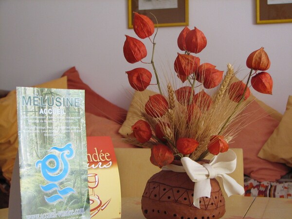 Le Petit Massigny - Vendée