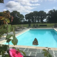 Piscina com espreguiçadeiras e vista para árvores ao fundo.